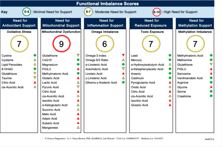 NutrEval Test - Health MOT Test | Smart Nutrition